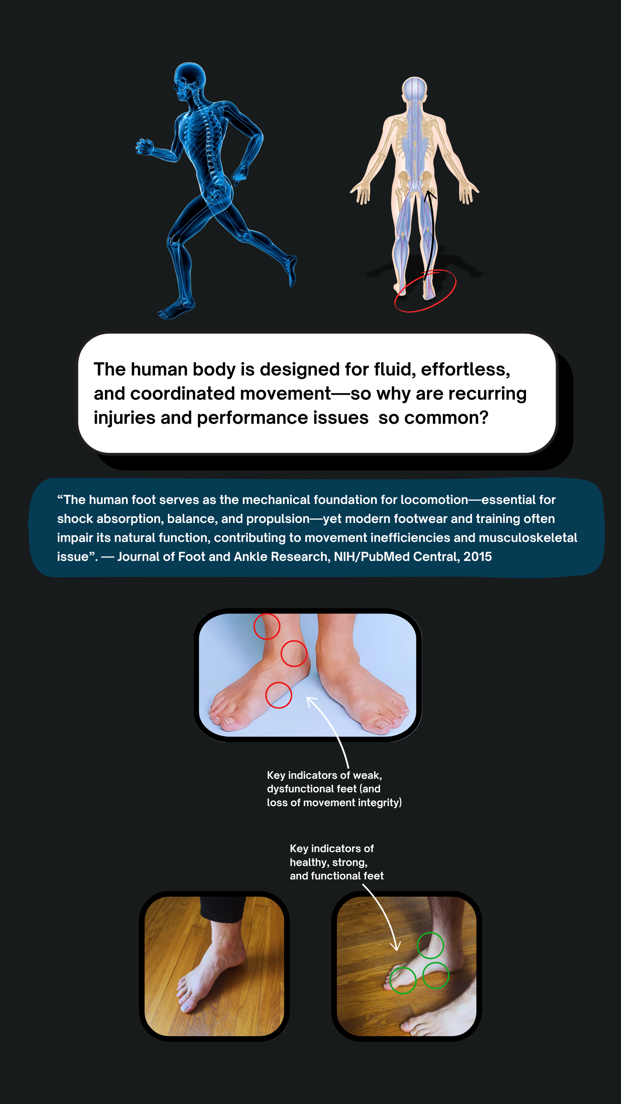 Our Approach – Formula Human